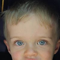 David Leech – Medium
