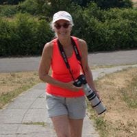 Lorra Rudman – Medium