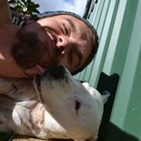 Alan Groves – Medium