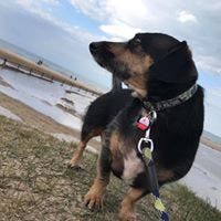 Christopher Pallo – Medium