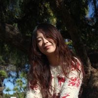 Jialu Li – Medium
