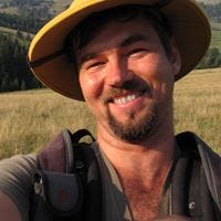 Paul Lysak – Medium