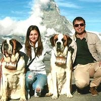David Alexandru – Medium