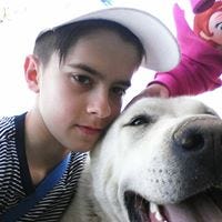 Cosmin Ionut Gradinaru – Medium