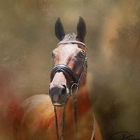 Kate Taylor – Medium