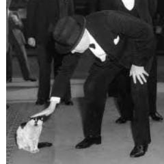 Eruch Colt – Medium