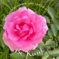 Rose Boyd – Medium