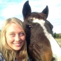 Alex Feeken – Medium