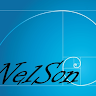 nelson software – Medium