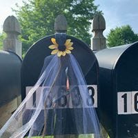 Susan Borton VanHuysen – Medium