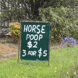 horse poo – Medium