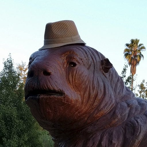 Mark Giffin – Medium