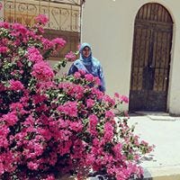 Menna Khamis – Medium