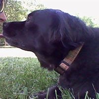 Jane Terrana – Medium