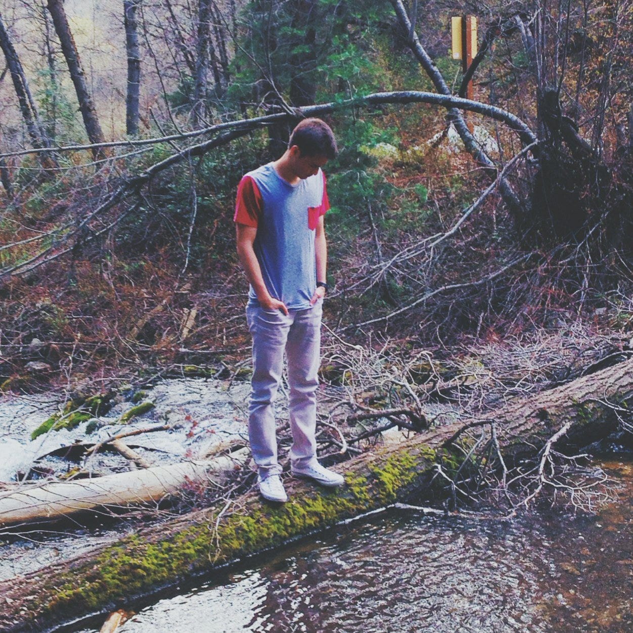 Ryan Wadge – Medium