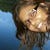 Shadiya Ibrahim – Medium