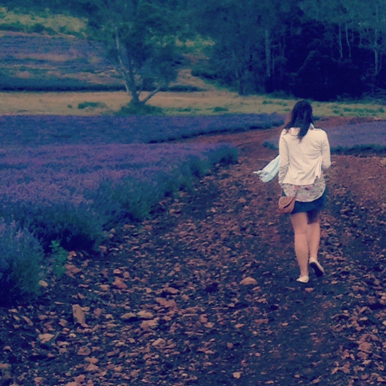 Vanessa Palencia – Medium