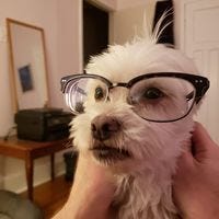 Michael Andrew Borth – Medium