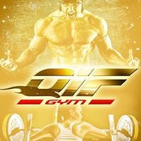 Qi Force Gym – Medium