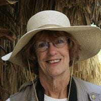 Jo Anne Fritter Fitzpatrick – Medium