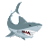 Codeshark – Medium