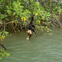 Andrea Liverman – Medium