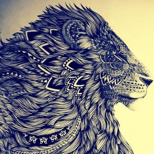 Guy Fox – Medium