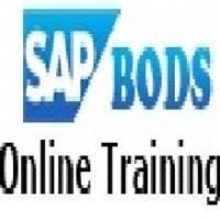 Sap Bods – Medium