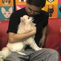 Vincent Cheung – Medium