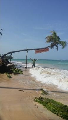 Brian Jaramillo – Medium