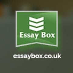 Essay Box – Medium