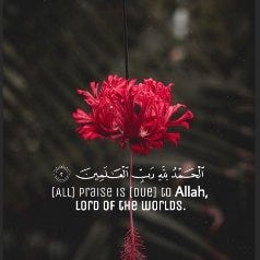 Hayat Ali – Medium