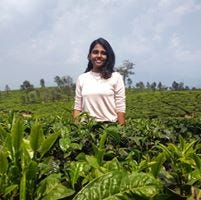 Greeshma Salvakam – Medium