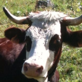 Benoît MARTIN – Medium