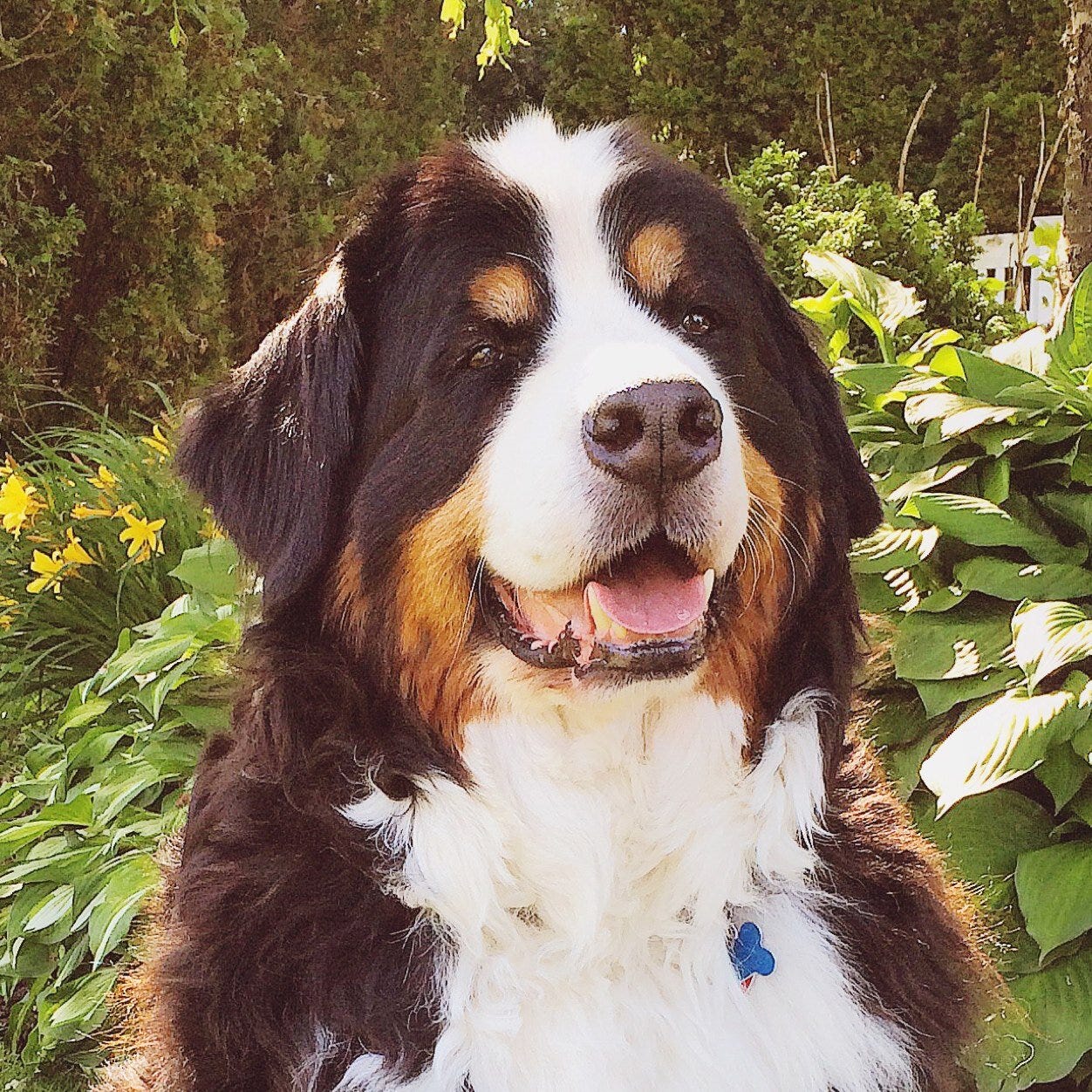 Brian Simpson – Medium