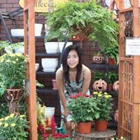 Yan Gao on Medium curated some lists