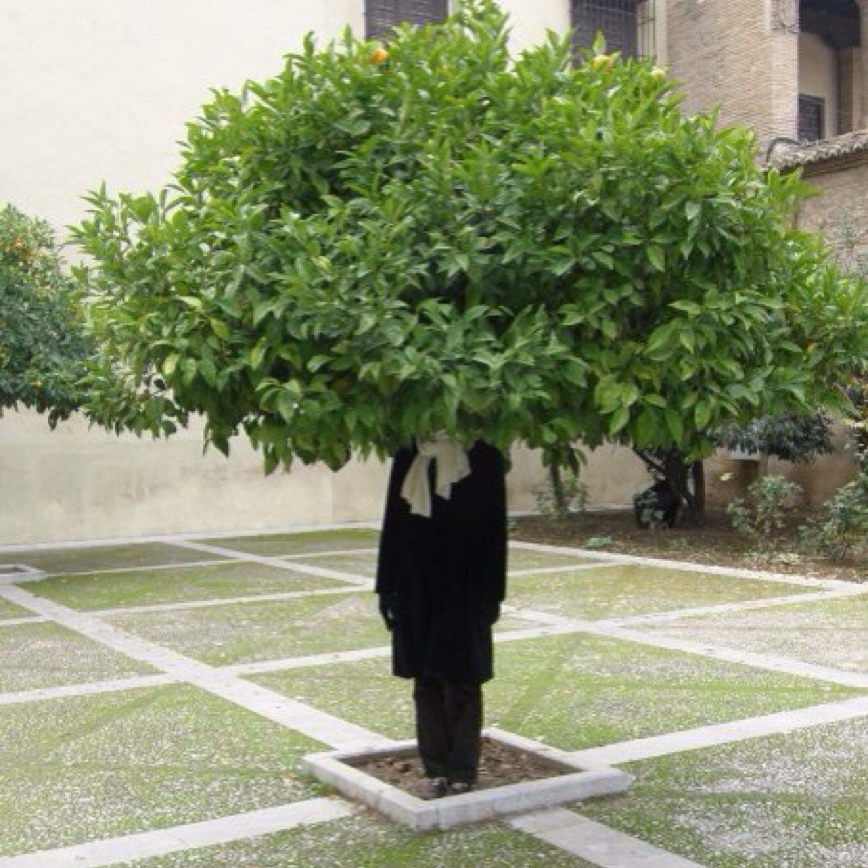 Alice DuBois – Medium