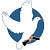 Timmon Wallis – Medium