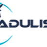 Adulis Travel – Medium