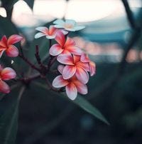 About – Nitu Sen – Medium