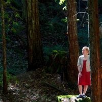 Lori Fraser McAllister – Medium