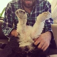 Dan Gentile – Medium