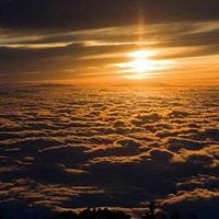 Looko Rey – Medium