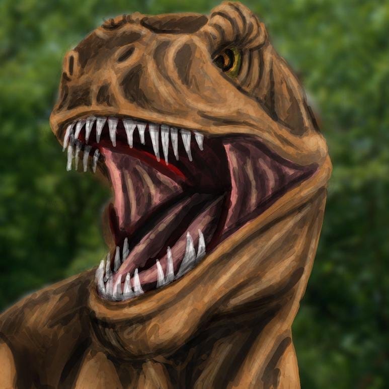 Rocky Rex – Medium