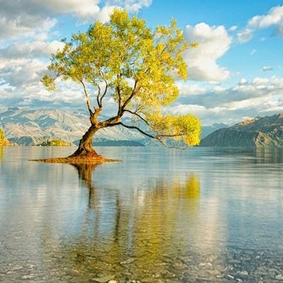 Jason D'Amour – Medium