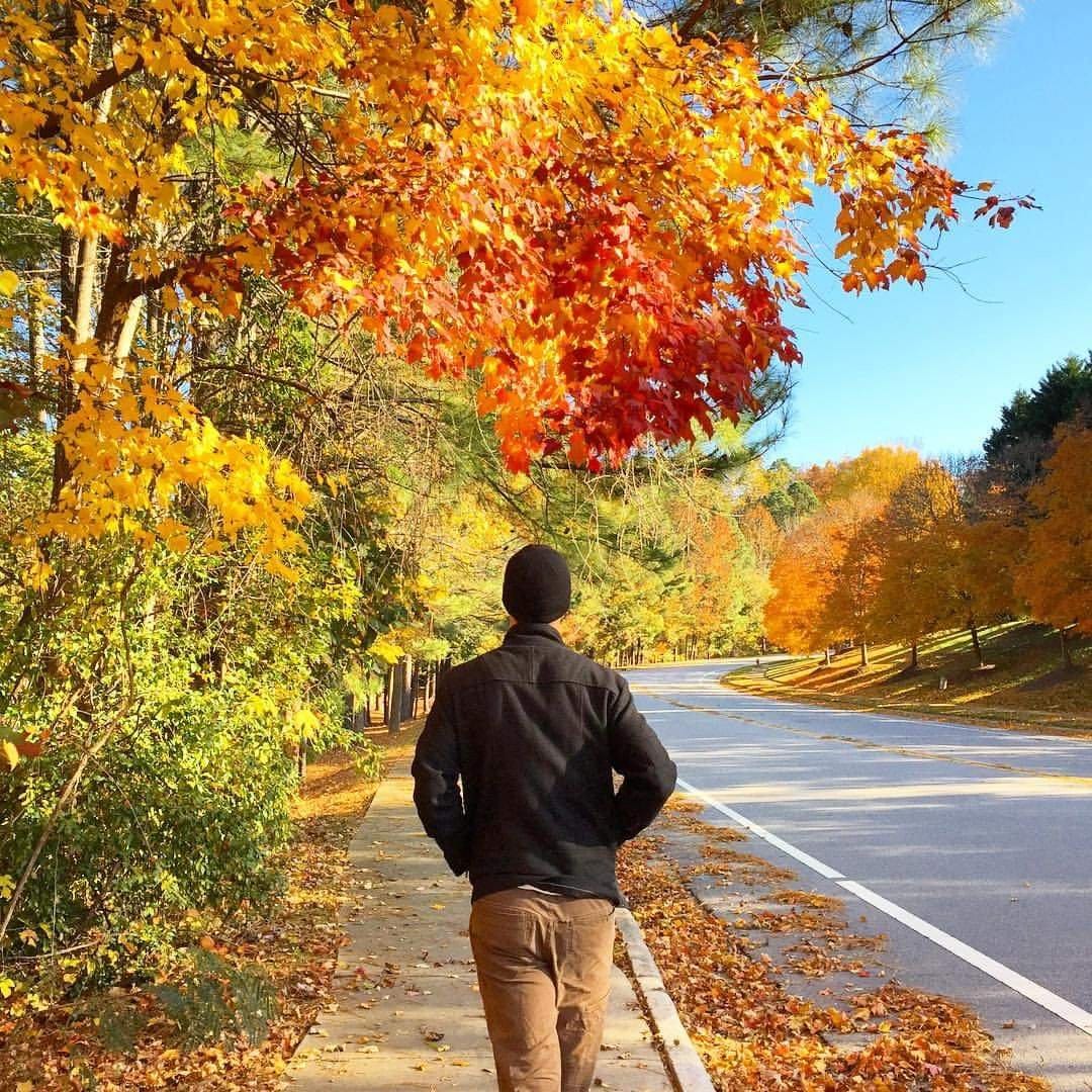 Tyler Cote – Medium