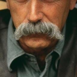 Sam Elliots Mustache – Medium