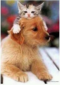 Jaehyun Jang – Medium