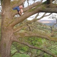 Andrew Tilsley – Medium