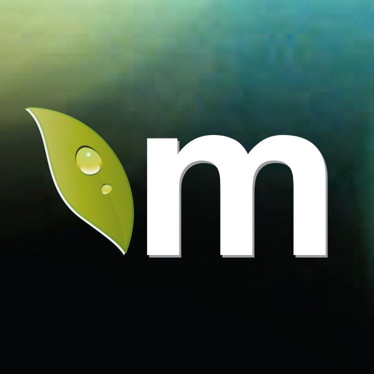 Maize Marketing, Inc – Medium